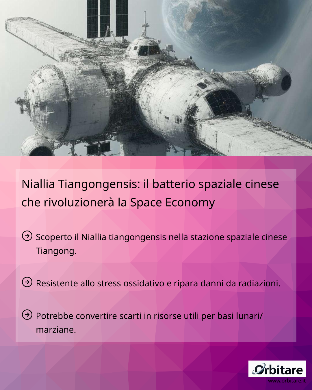 Niallia Tiangongensis: il batterio spaziale cinese che rivoluzionerà la ...
